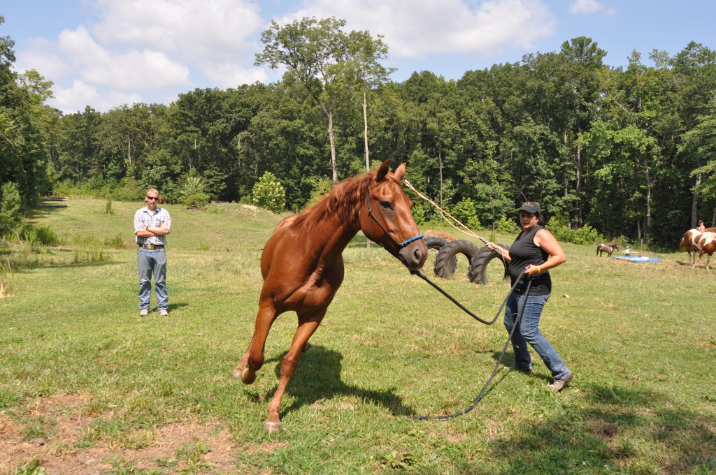Lessons in Lunging